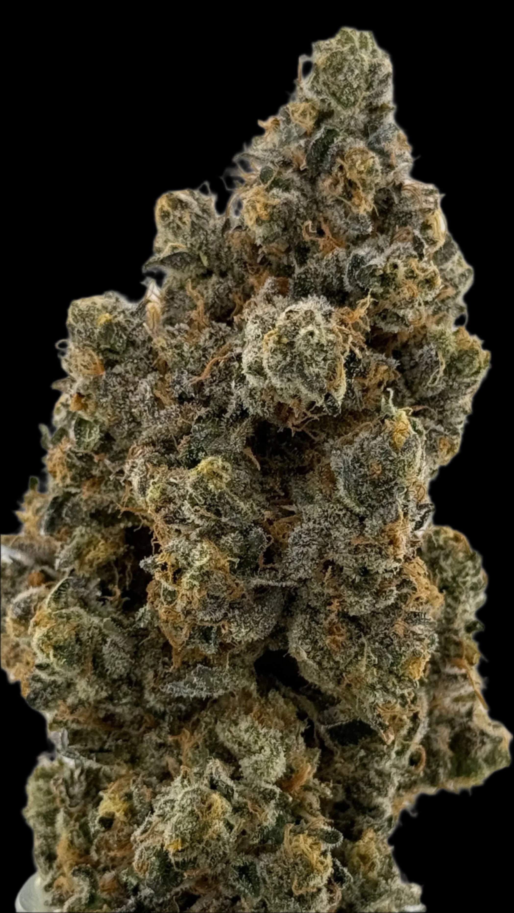 THCa Flower - Grape Gas – Antheia Farms